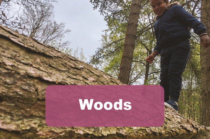 9 Activities for kids to do in the Woods